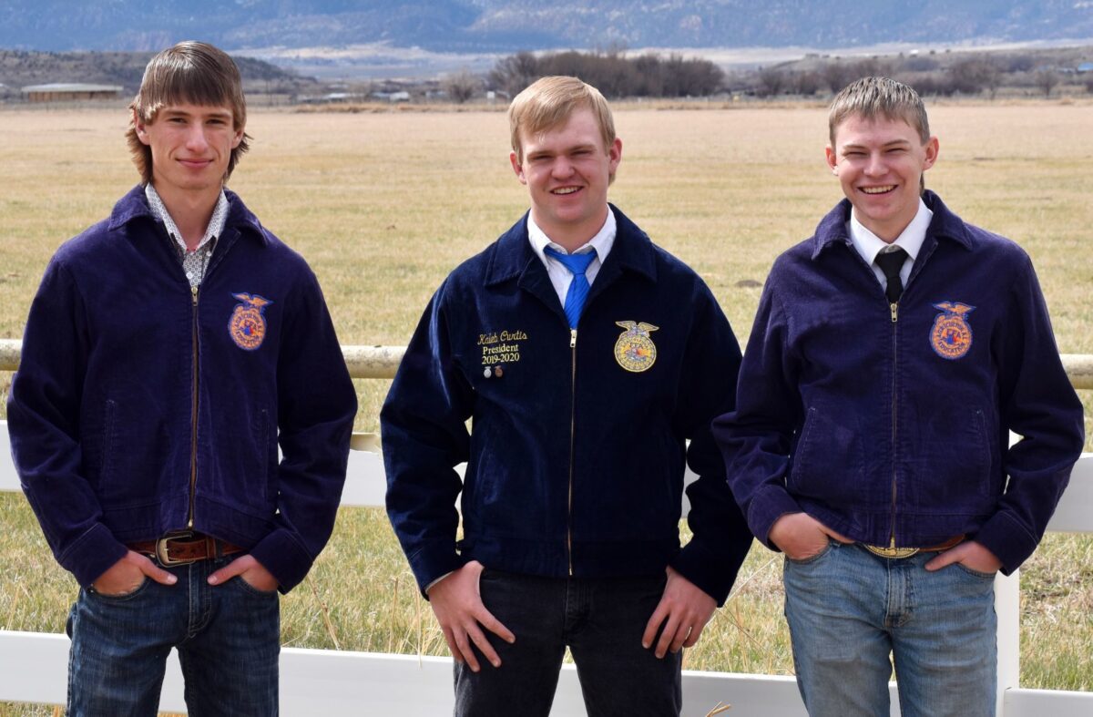 Three seniors receive FFA state degrees | News, Sports, Jobs - Daily Herald